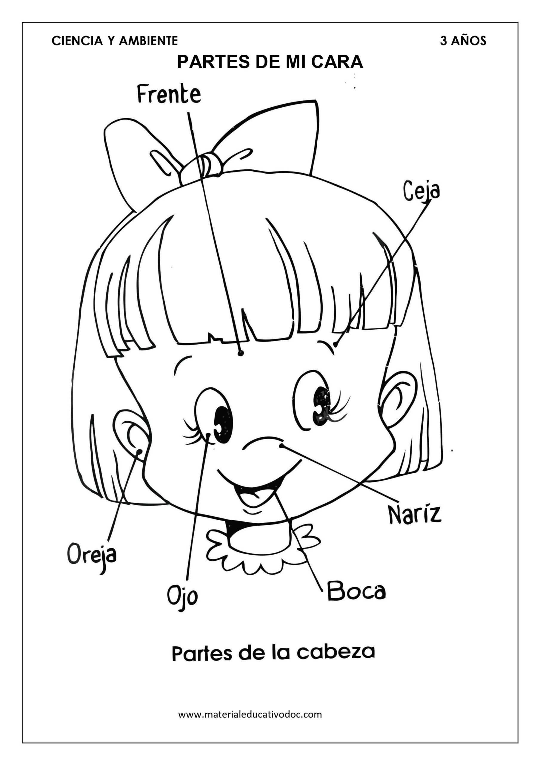 Ciencia y ambiente cuaderno de trabajo para Inicial 3 años.