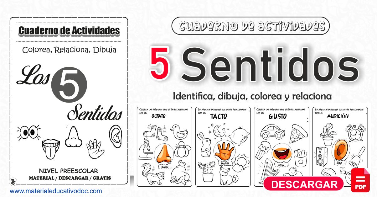 Mi Cuaderno De Fichas Para Trabajar Los Cinco Sentidos En Preescola